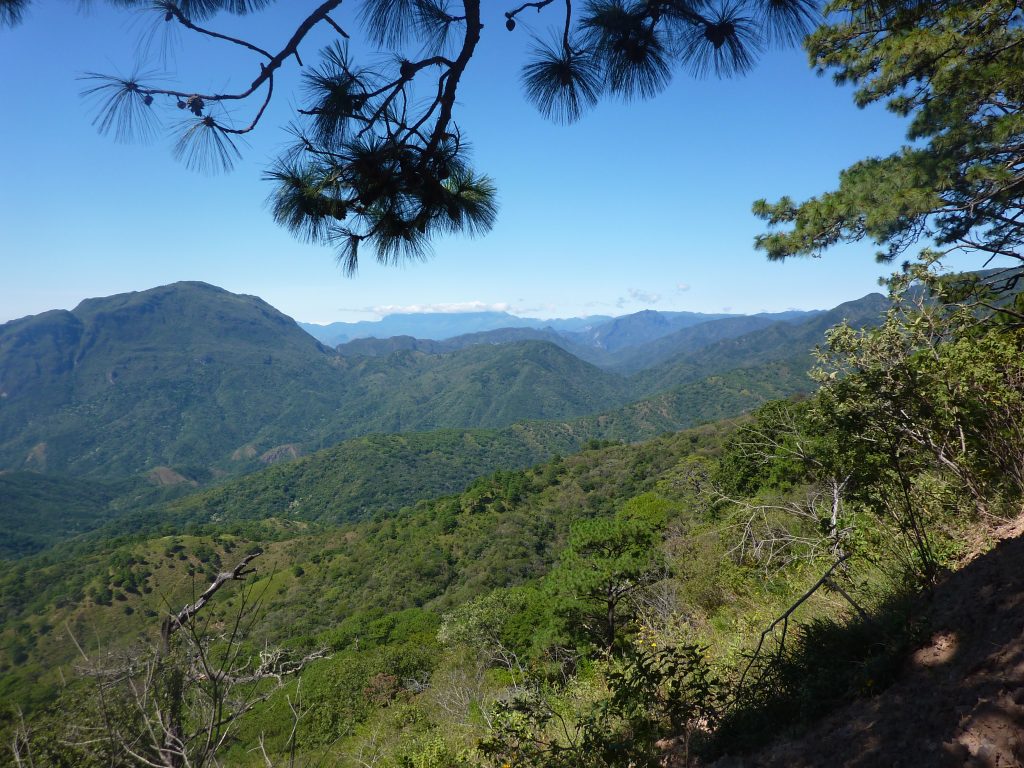 Chimalapas | Radio Zapatista
